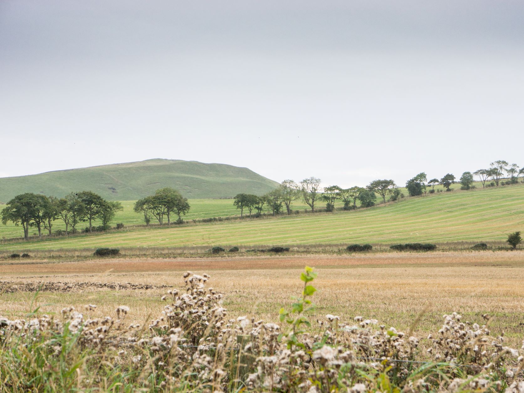 The Road – duncanmac.blog